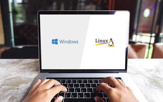 Linux ou Windows: qual o melhor sistema operacional para programar?